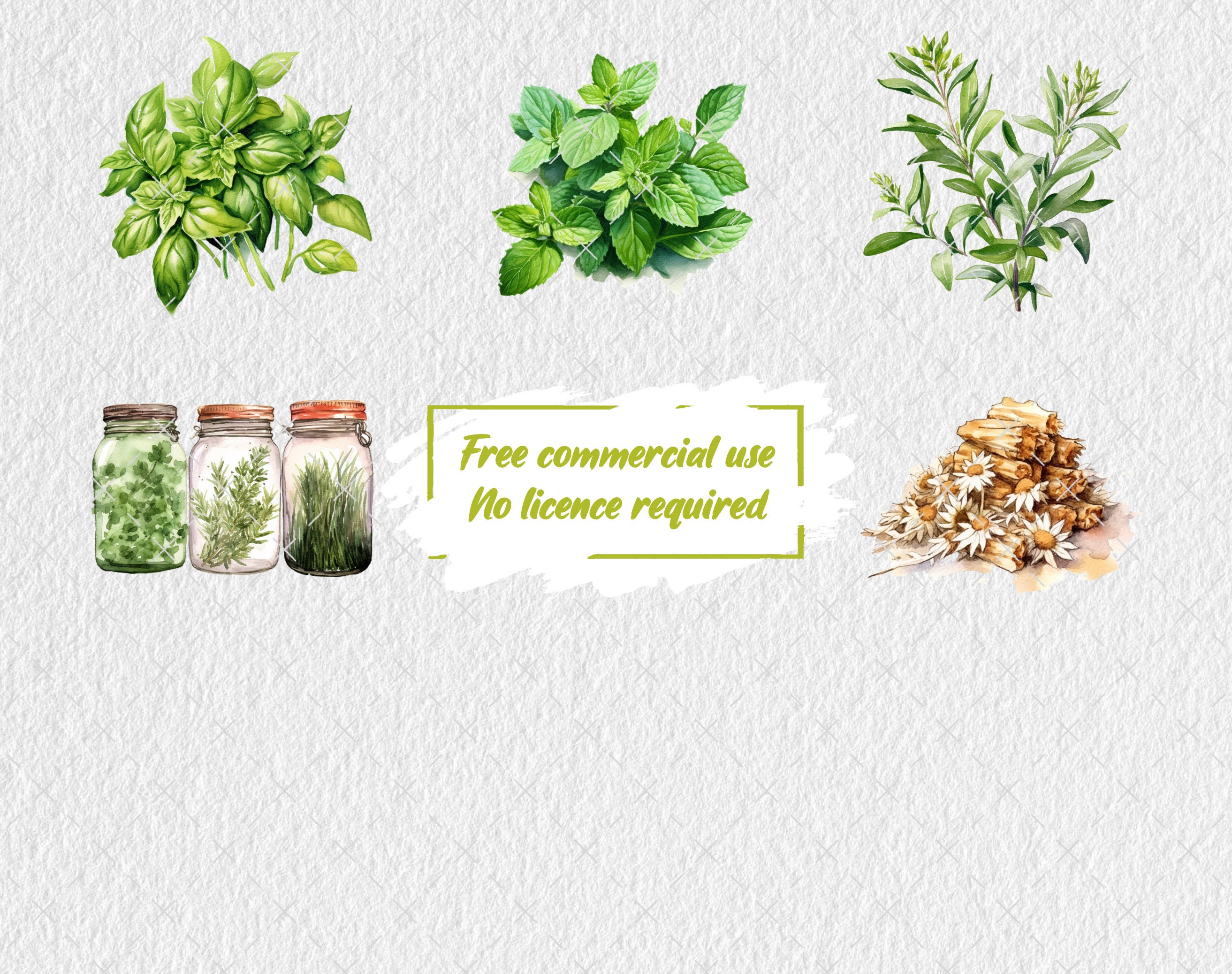Watercolor Herbs Clipart Herbal Clipart PNG Herbs PNG - Etsy