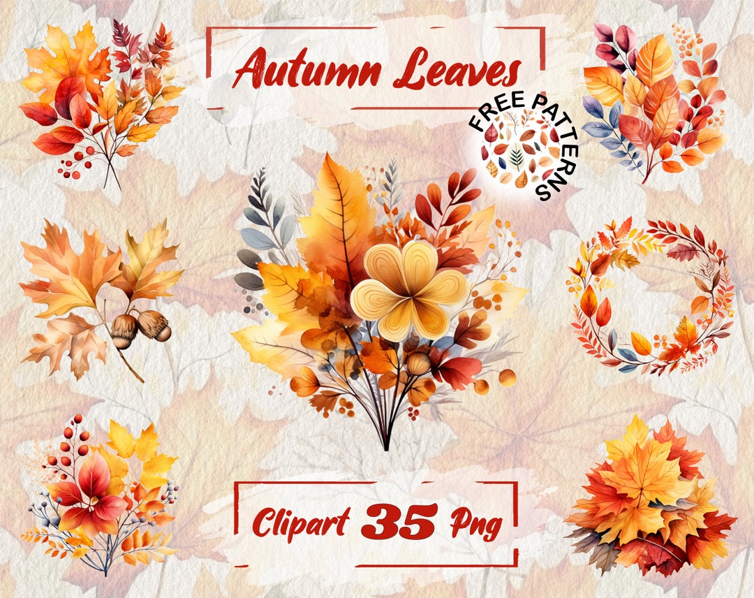 Watercolor Fall Clipart Autumn Leaves PNG Autumn Clipart Fall Flowers ...