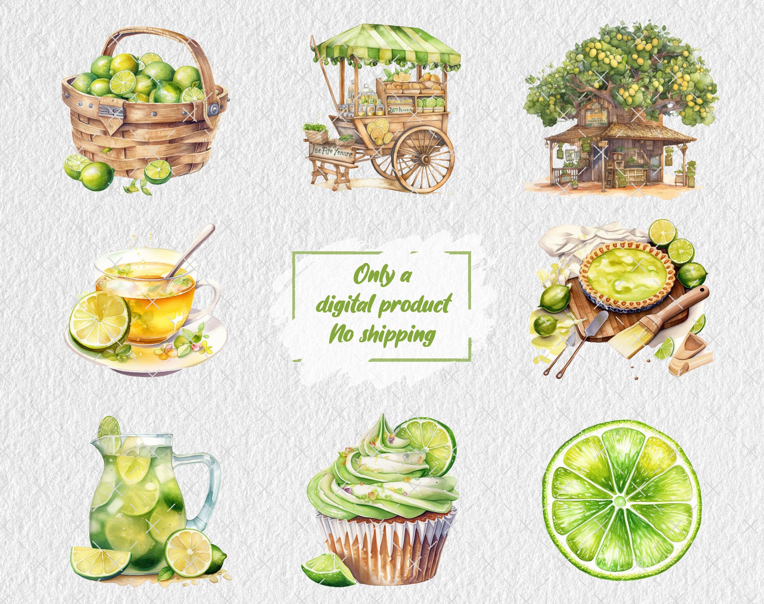 Watercolor Lime Clipart Summer PNG Bundle Citrus Graphics - Etsy