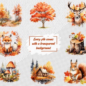 Watercolor Fall Forest Fall Clipart Autumn Clipart Autumn Leaves PNG ...