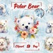 Watercolor Polar Bears, Bear Clipart, Watercolor Bear Png, Cute Animals ...