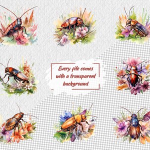 Watercolor Cockroach Clipart Bug Clip Art Insects Clip Art - Etsy
