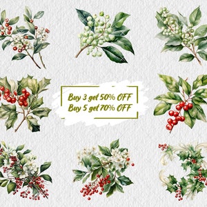 Mistletoe Clipart, Watercolor Christmas Graphics, Transparent Images ...