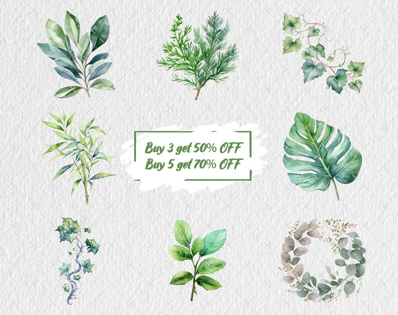 Watercolor Leaves and Branches Leaf Clipart PNG Eucalyptus - Etsy