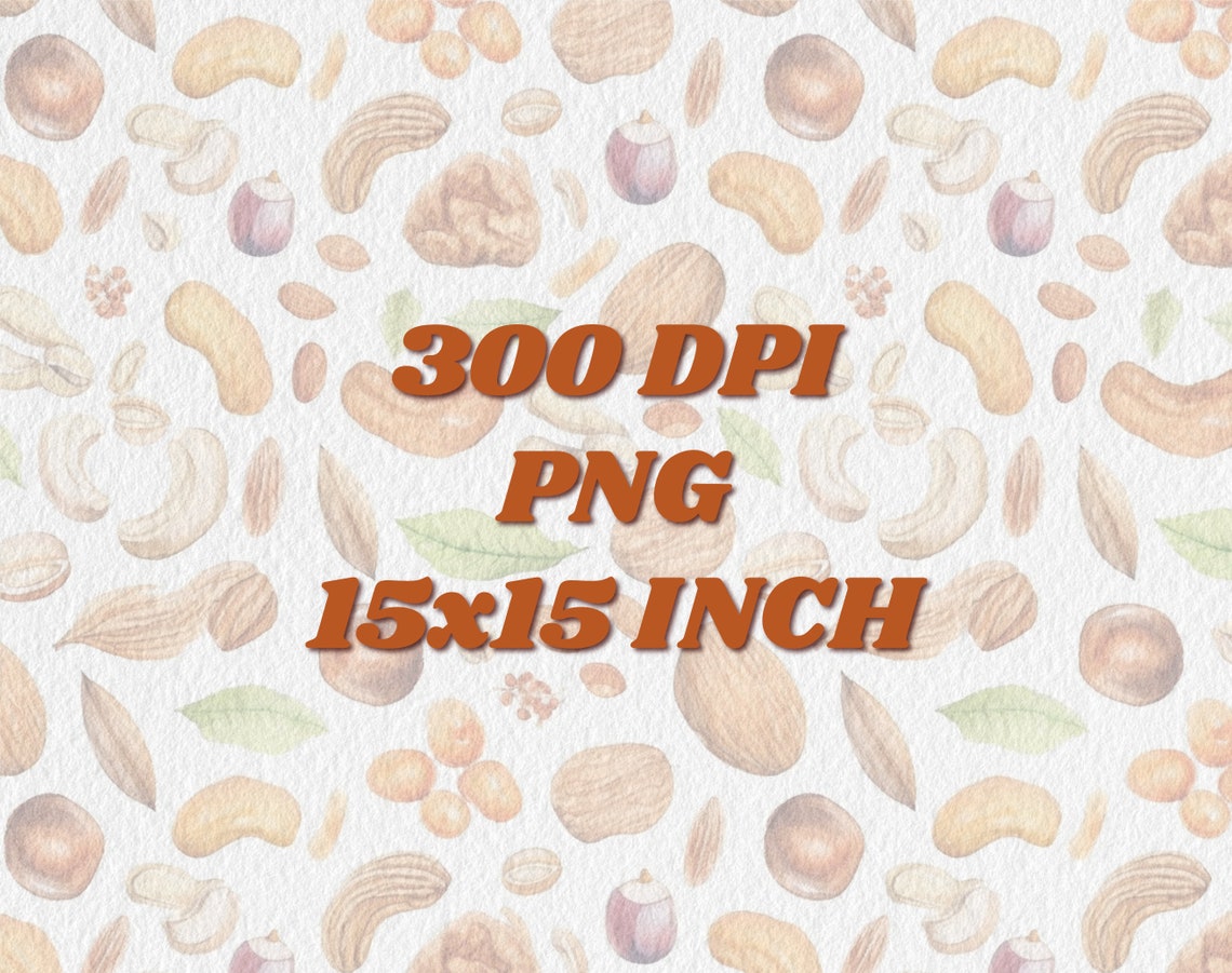 Watercolor Nuts Clipart Nuts Bundle Wallnut PNG Almond PNG Nuts Clipart ...