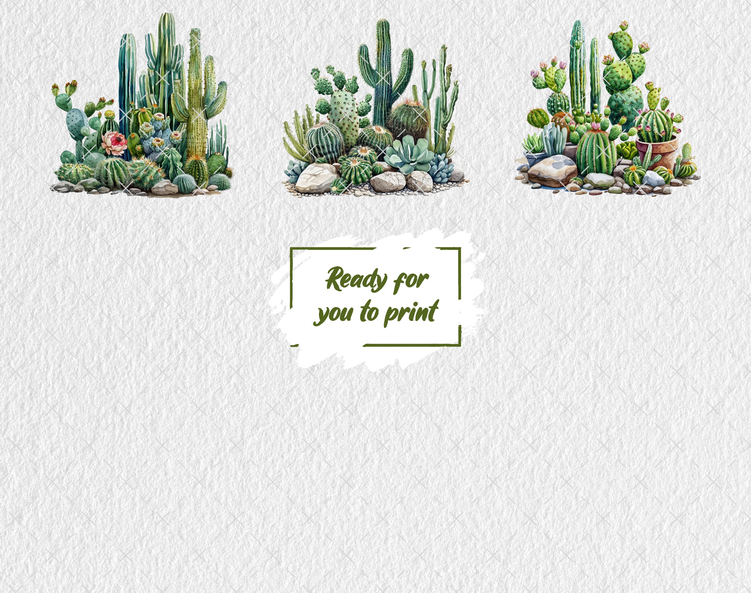 Watercolor Cactus Clipart Desert Cactus Clipart Desert Cacti Succulent ...
