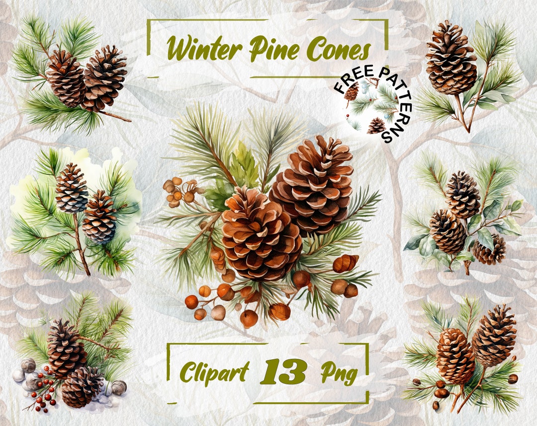Winter Pine Cone Clipart Pine Branches PNG Watercolor Christmas Clipart ...