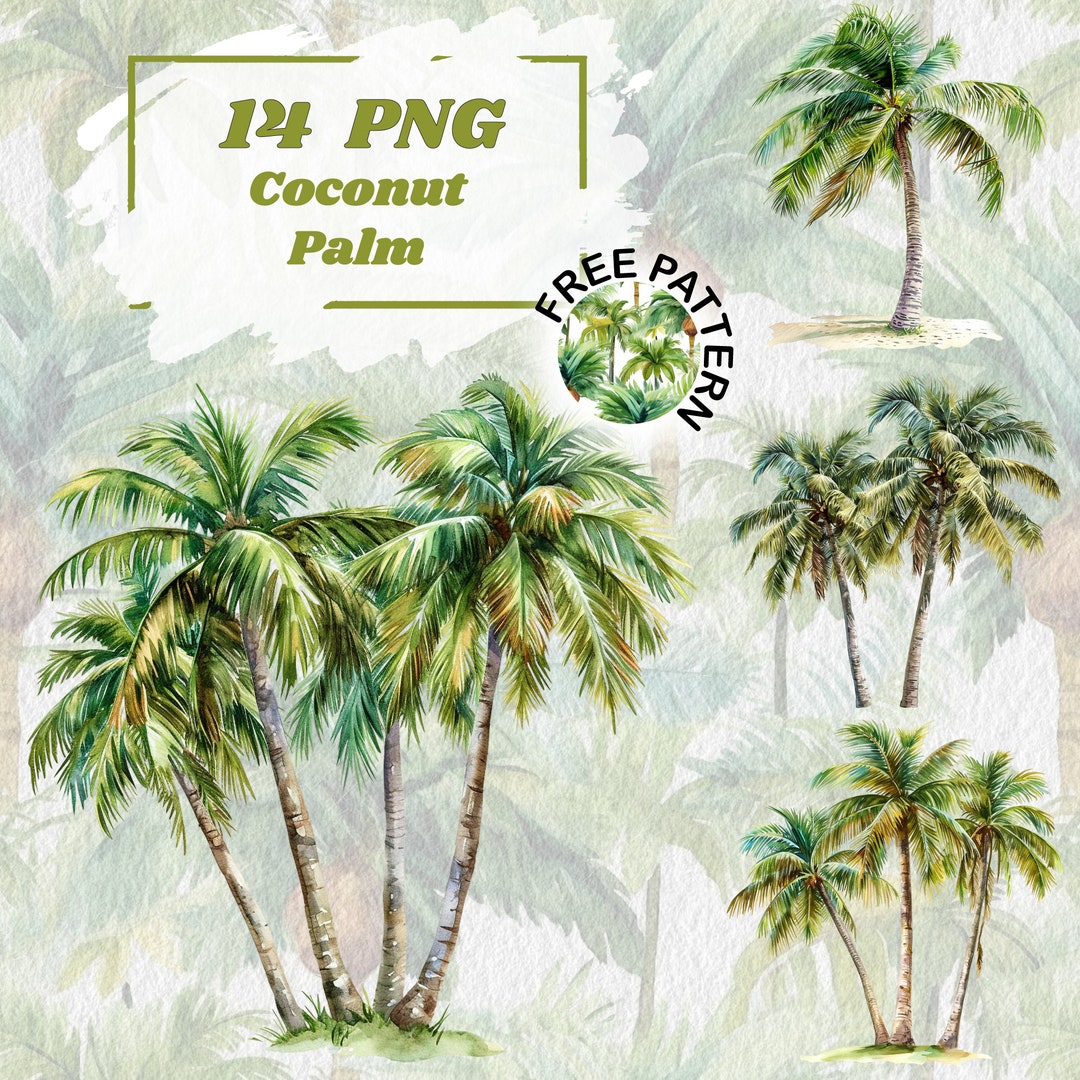 Coconut Palm Trees Clipart, Watercolor Clipart, Watercolor Palm Leaves ...