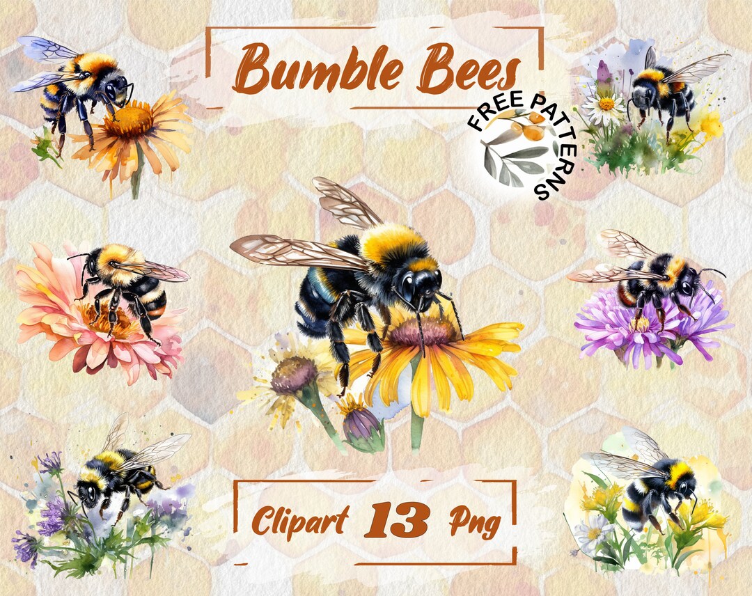 Watercolor Bumble Bee Clipart, Wasp Clip Art, Bug Clipart Bundle ...