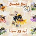 Watercolor Bumble Bee Clipart, Wasp Clip Art, Bug Clipart Bundle ...