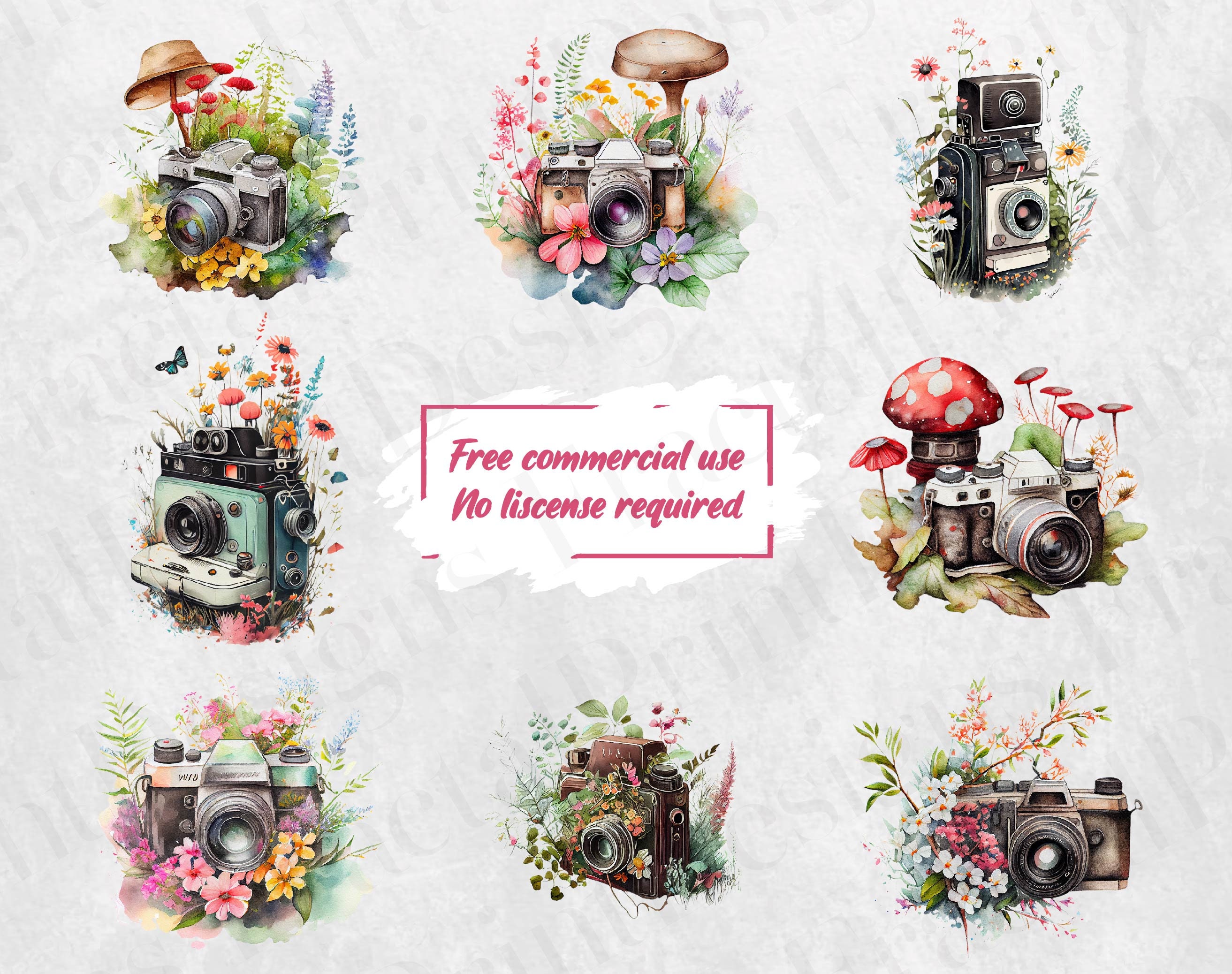 Watercolor Retro Cameras Clipart Vintage Floral Shabby - Etsy