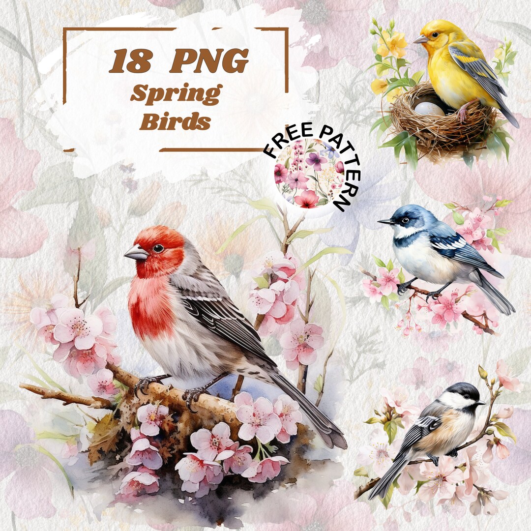 Spring Birds Clipart, Watercolor Bird Clipart, Cute Colorful Bird PNG ...