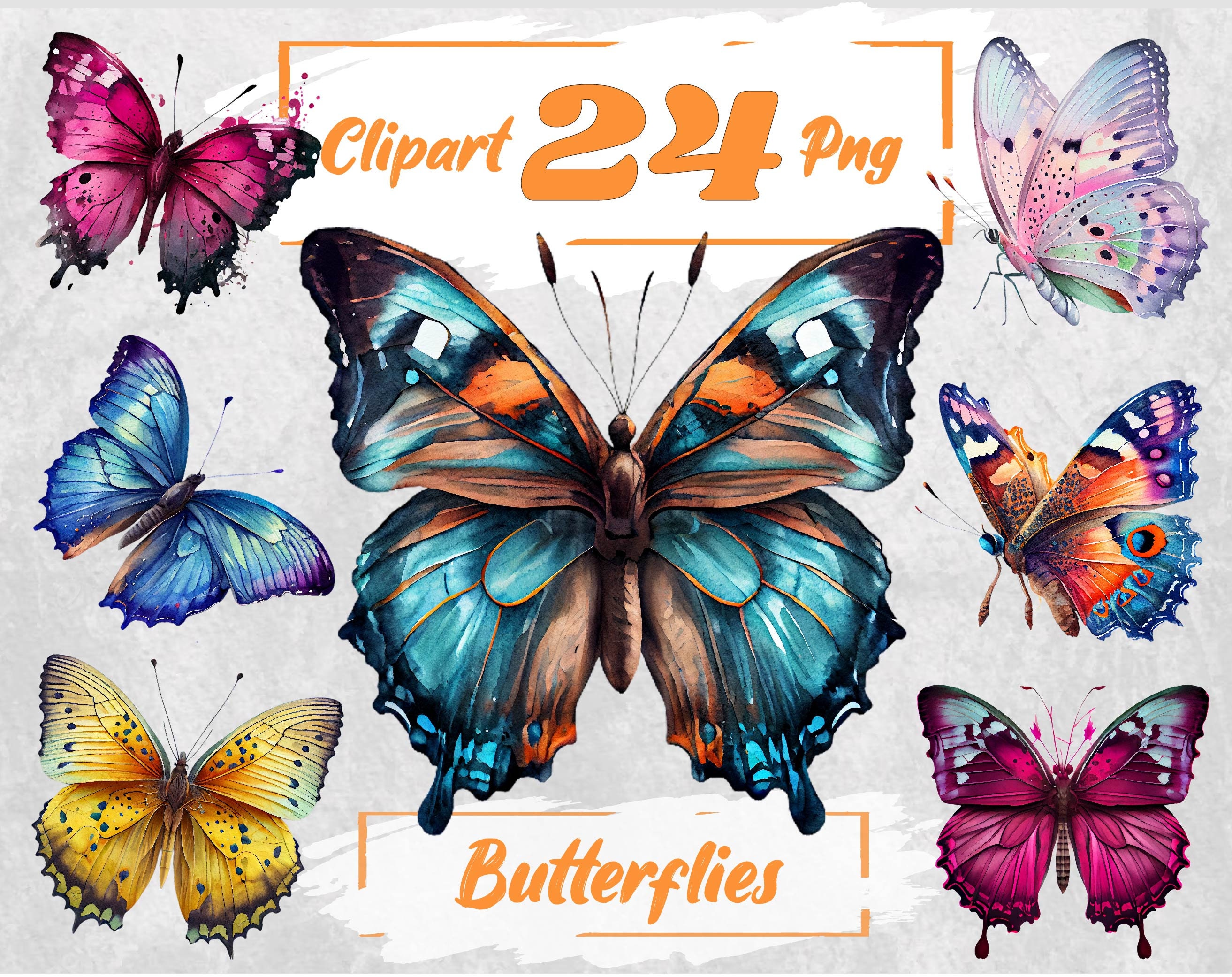 Colorful Butterfly Clipart Bundle Butterfly PNG Exotic - Etsy