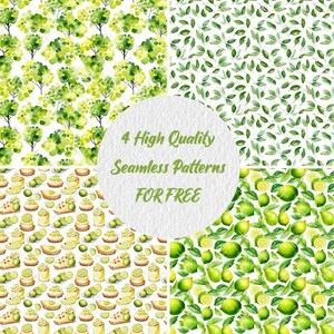 Watercolor Lime Clipart Summer PNG Bundle Citrus Graphics Green Fruits ...