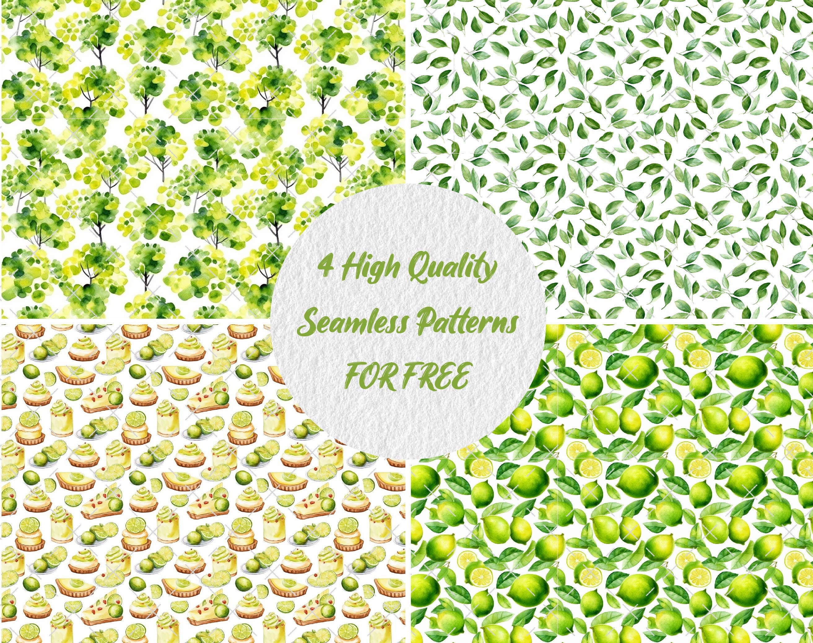 Watercolor Lime Clipart Summer PNG Bundle Citrus Graphics - Etsy