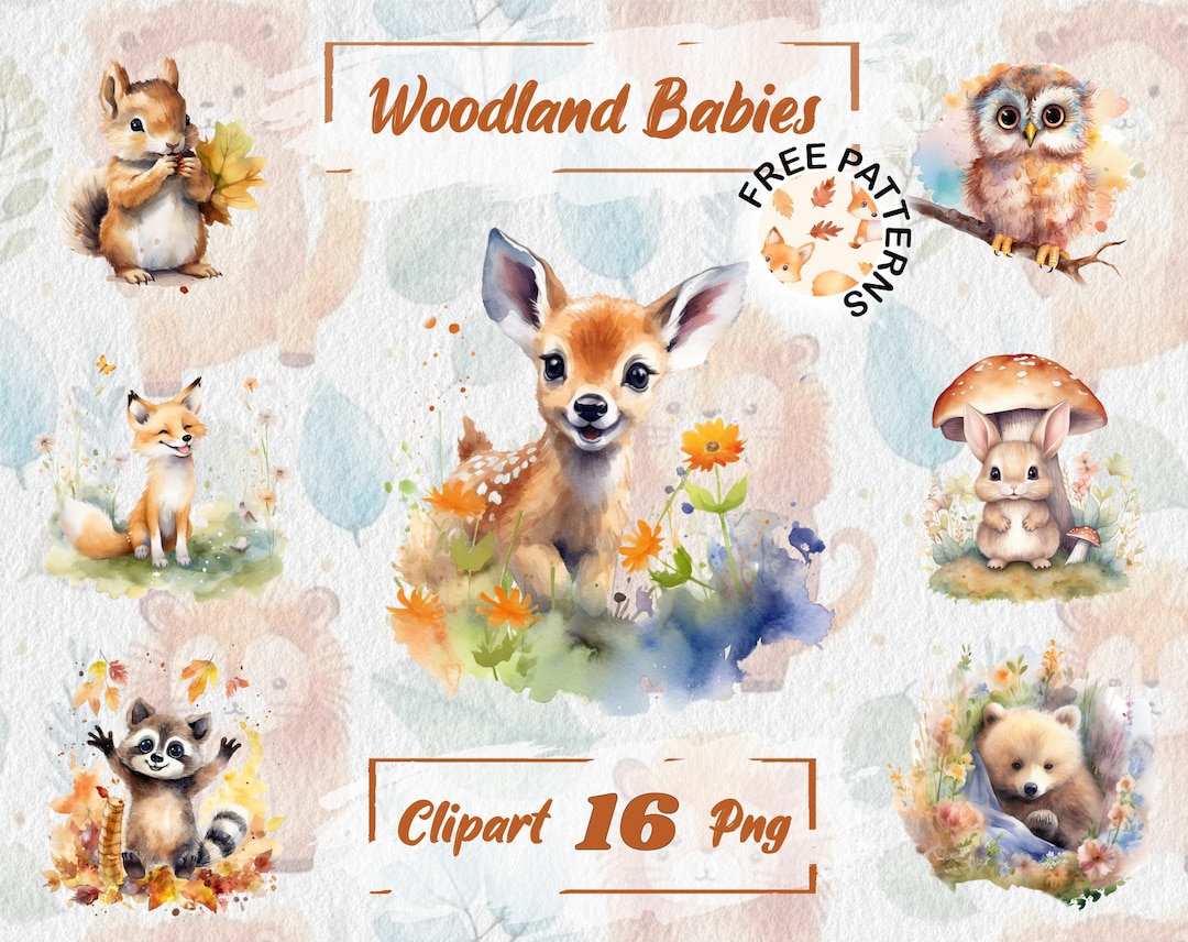 Watercolor Woodland Baby Animals Cute Animals Clipart Watercolor Bear ...