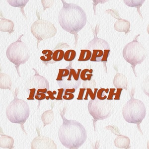 Watercolor Onion Clipart Onion PNG Clip Art Vegetables Clip Art Farm ...