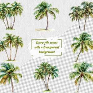 Coconut Palm Trees Clipart, Watercolor Clipart, Watercolor Palm Leaves ...