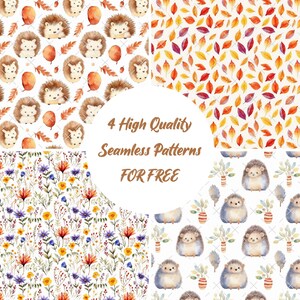 Floral Hedgehog Clipart Watercolor Hedgehog PNG Bundle Floral Clipart ...