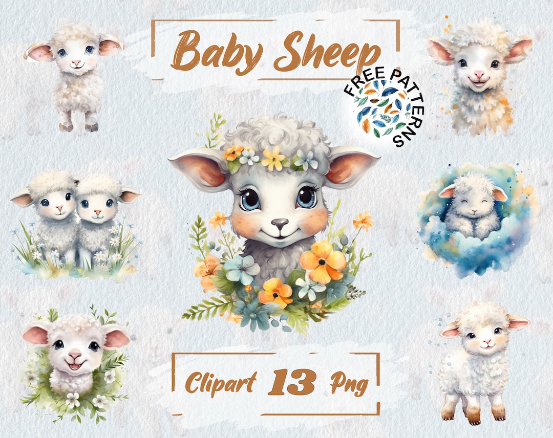 Watercolor Baby Sheep Clipart Cute Sheep Clipart Watercolor Sheep Png ...
