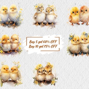 Cute Baby Chick Clipart, Watercolor PNG, Spring Animal Design ...