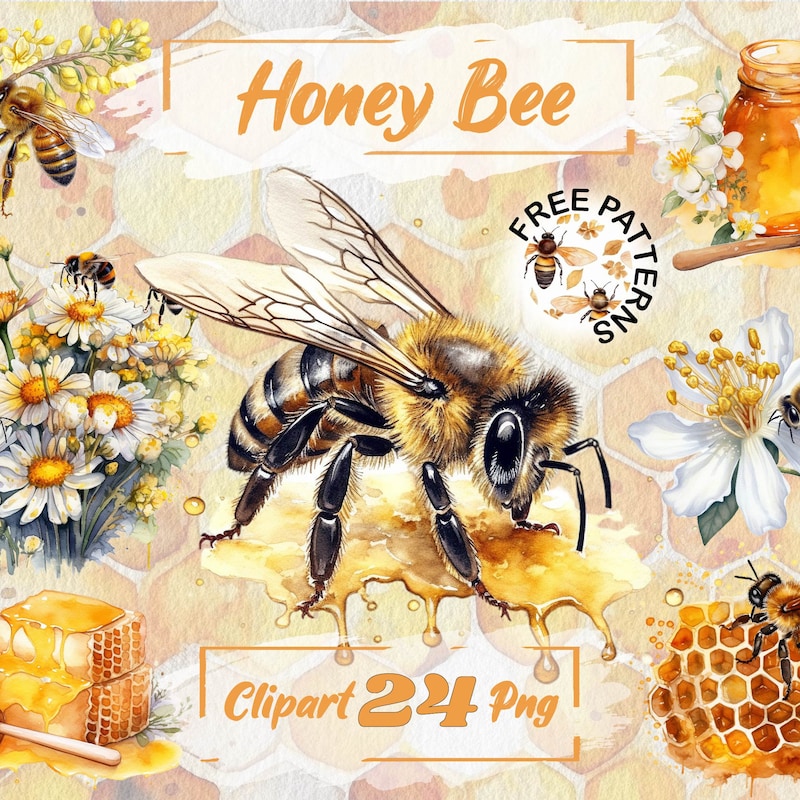 Honey Bee Clip Art - Etsy