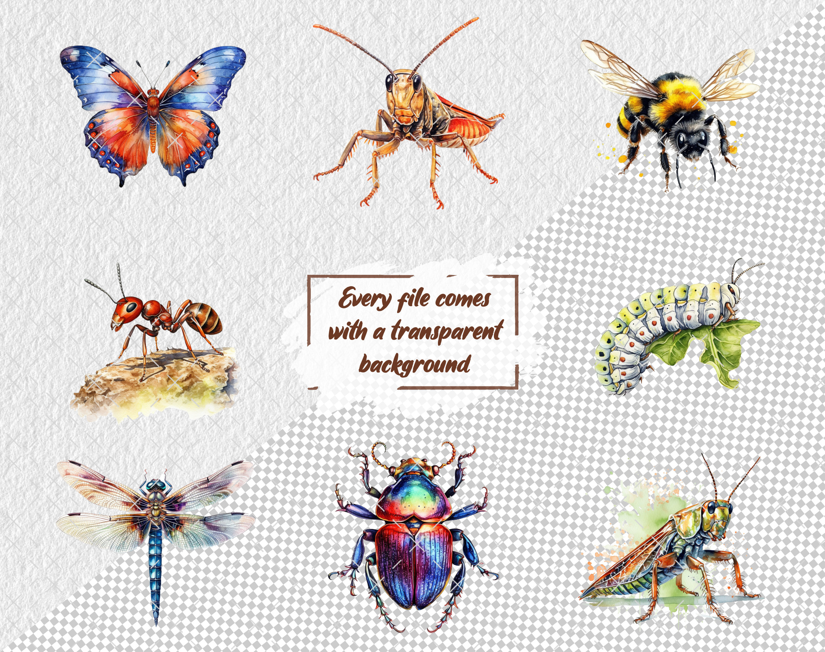 Watercolor Insects Clipart Bug Clip Art Wasp Clip Art - Etsy