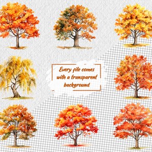 Watercolor Tree Clipart Autumn Clipart Autumn Leaves PNG Fall Trees ...