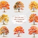 Watercolor Tree Clipart Autumn Clipart Autumn Leaves PNG Fall Trees ...
