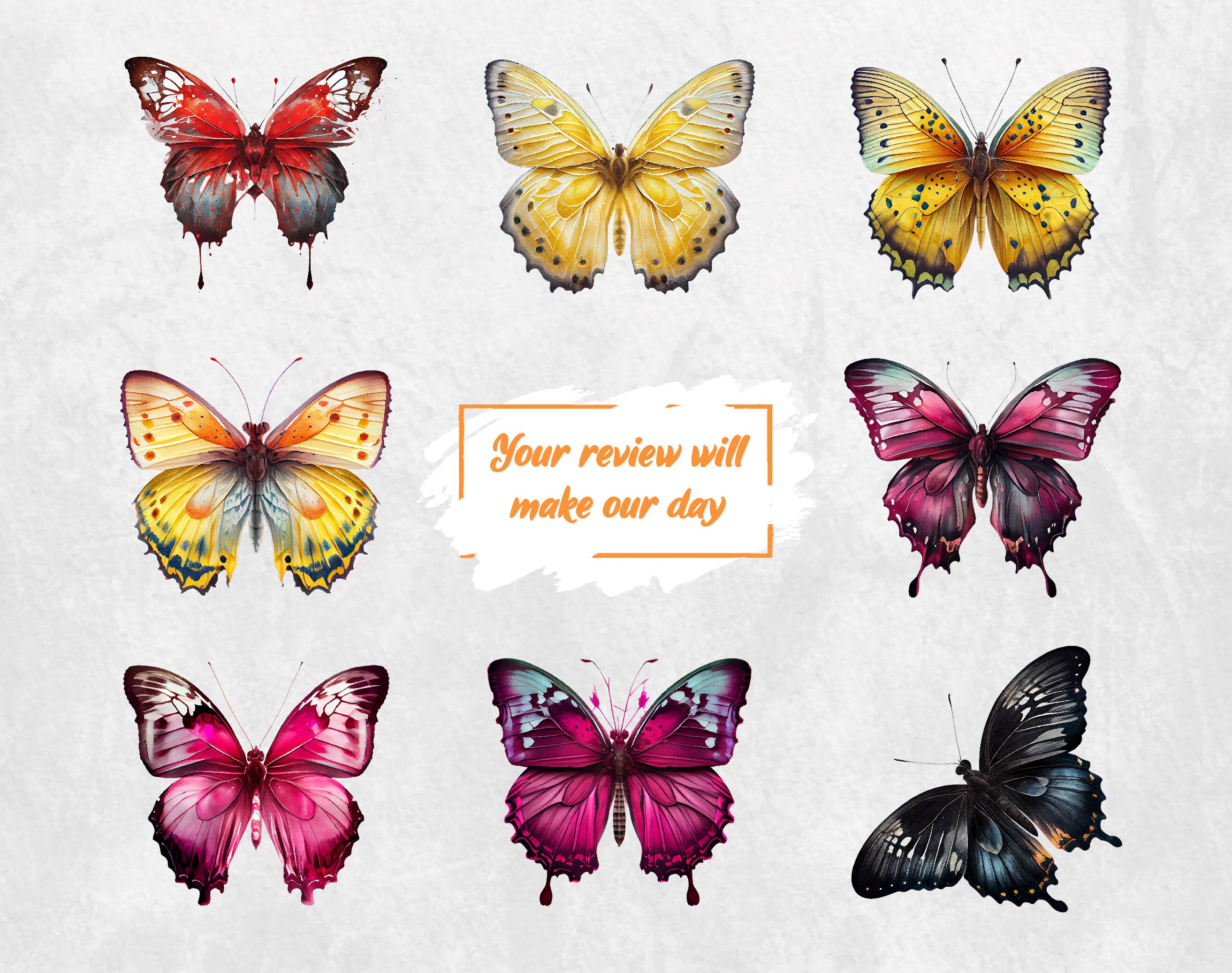 Colorful Butterfly Clipart Bundle Butterfly PNG Exotic - Etsy