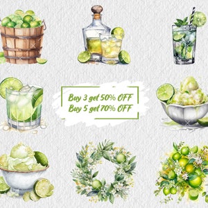 Watercolor Lime Clipart Summer PNG Bundle Citrus Graphics Green Fruits ...