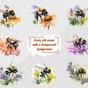 Watercolor Bumble Bee Clipart, Wasp Clip Art, Bug Clipart Bundle ...