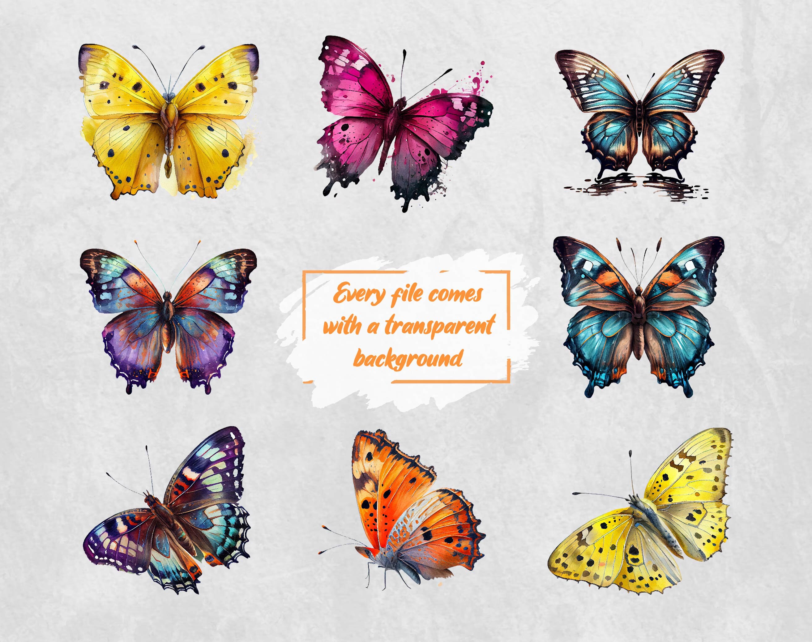 Colorful Butterfly Clipart Bundle Butterfly PNG Exotic - Etsy