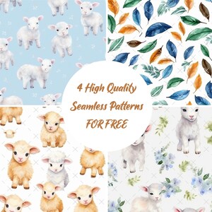 Watercolor Baby Sheep Clipart Cute Sheep Clipart Watercolor Sheep Png ...