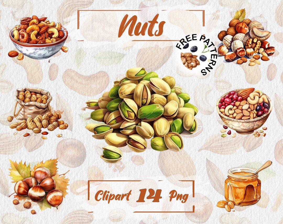 Watercolor Nuts Clipart Nuts Bundle Wallnut PNG Almond PNG Nuts Clipart ...