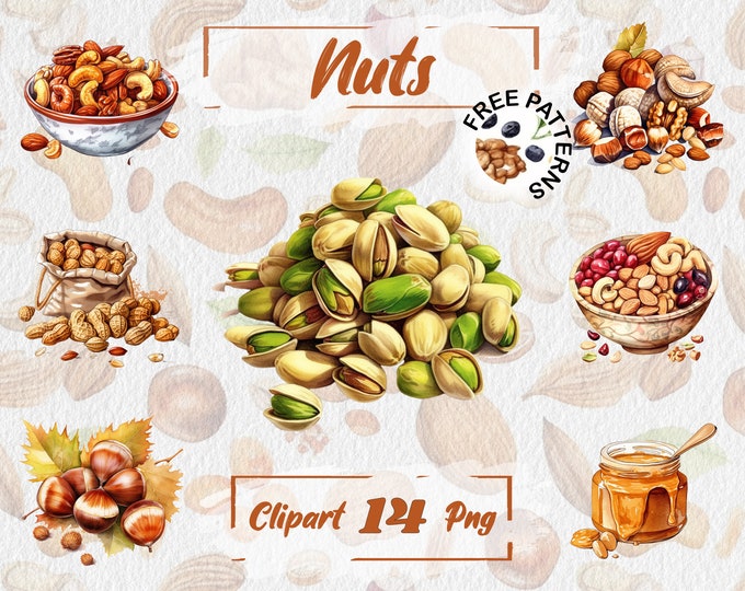 Nuts Clipart, Food Clipart, Watercolor Clipart, Nut Watercolor ...