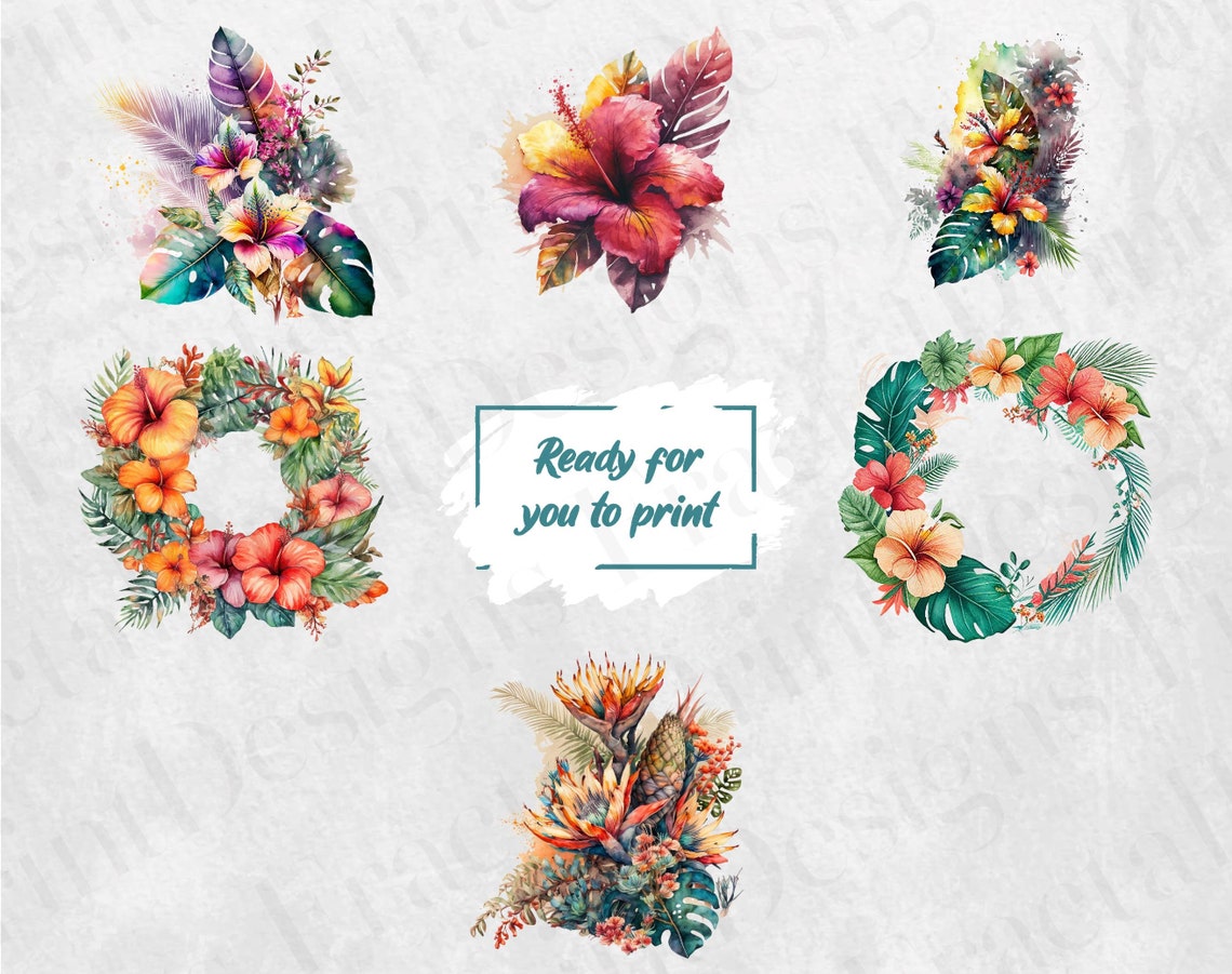 Watercolor Tropical Flowers Clipart Tropical Flowers Bundle - Etsy
