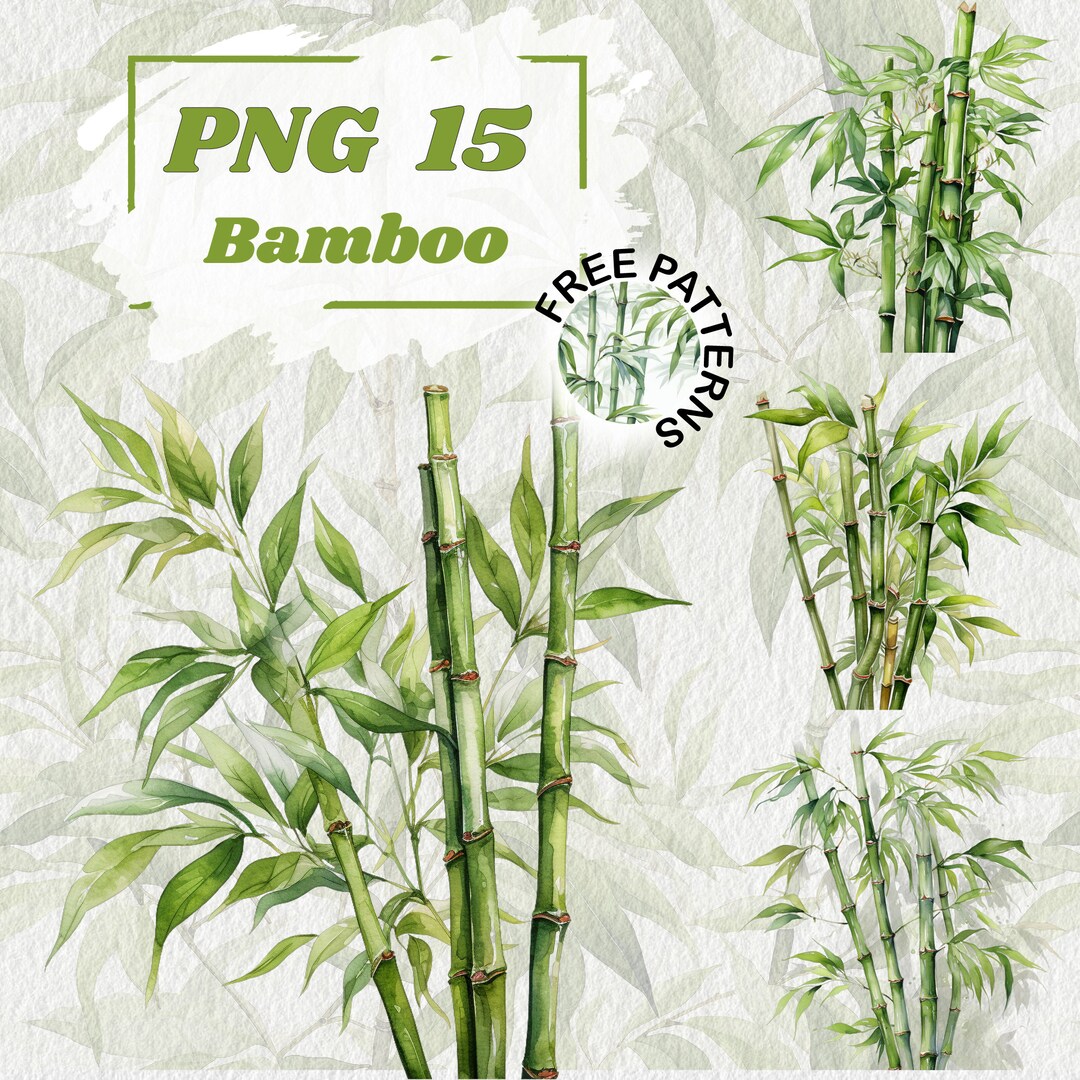 Bamboo Clipart, Botanical Art, Watercolor Bamboo PNG, Bamboo Plant ...