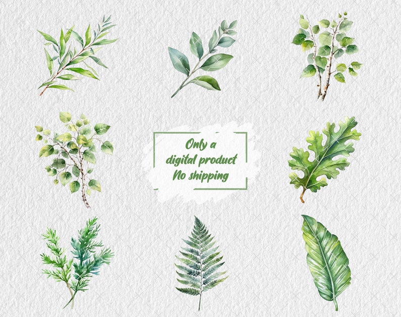 Watercolor Leaves and Branches Leaf Clipart PNG Eucalyptus - Etsy