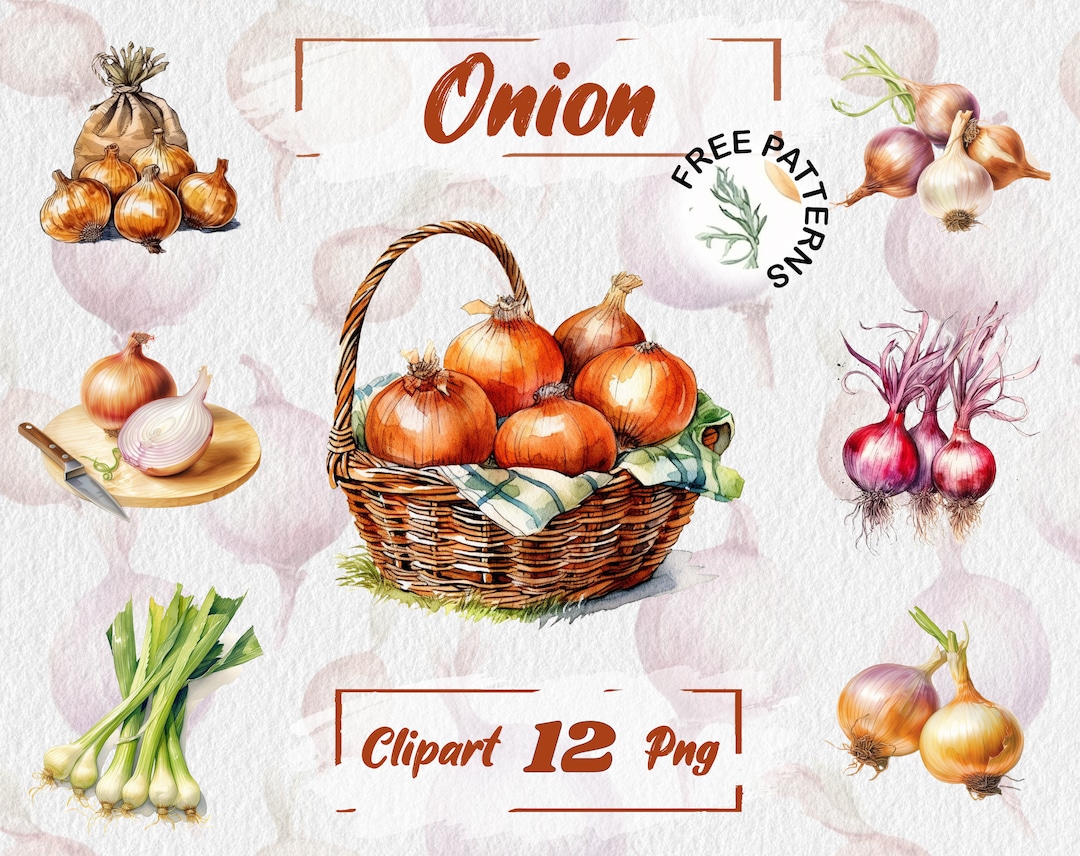 Watercolor Onion Clipart Onion PNG Clip Art Vegetables Clip Art Farm ...