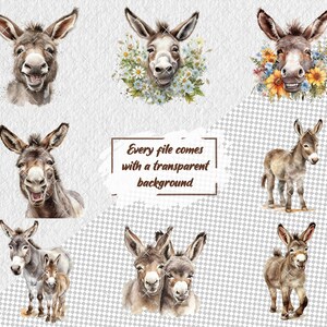 Happy Donkey Clipart Farm Animals Clipart Watercolor Donkey Clipart ...