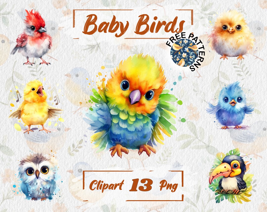 Watercolor Baby Birds Clipart Cute Birds Clipart Blue Birds PNG ...