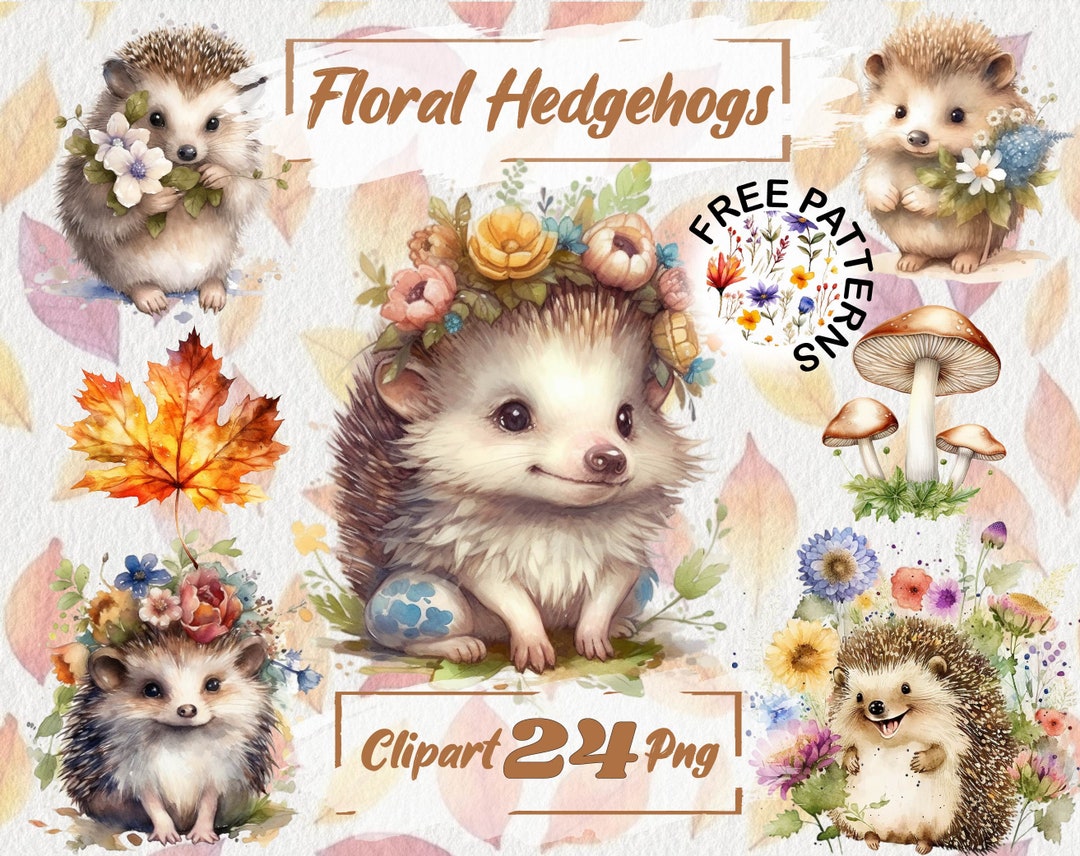 Floral Hedgehog Clipart Watercolor Hedgehog PNG Bundle Floral Clipart ...