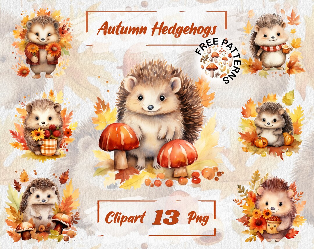 Watercolor Fall Hedgehog Clipart Cute Hedgehog Clipart Autumn Leaves ...
