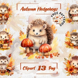 Watercolor Fall Hedgehog Clipart Cute Hedgehog Clipart Autumn Leaves ...
