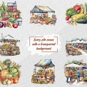 Watercolor Farmers Market Clipart Summer PNG Bundle Vegetables Clipart ...
