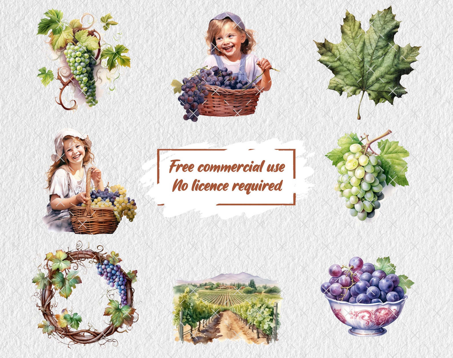 Grapes PNG Clipart Watercolor Grapes Watercolor Wine PNG Grapes Clipart ...
