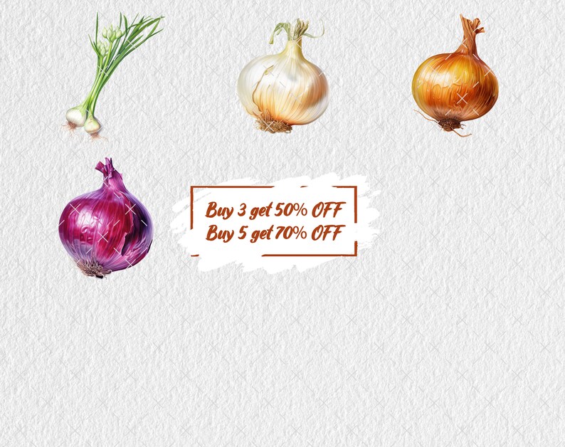 Watercolor Onion Clipart Onion PNG Clip Art Vegetables Clip - Etsy