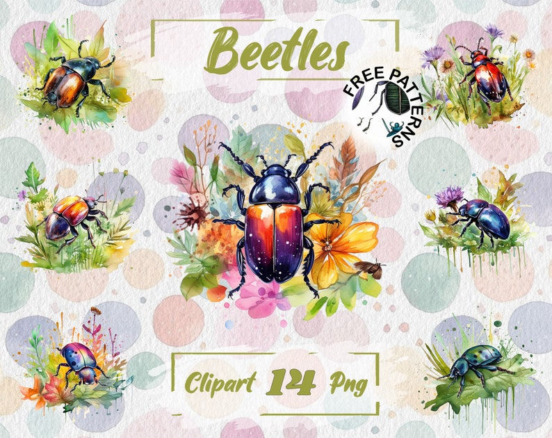 Watercolor Beetles Clipart Bug Clip Art Cute Beetle Clip - Etsy