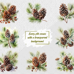 Winter Pine Cone Clipart Pine Branches PNG Watercolor Christmas Clipart ...